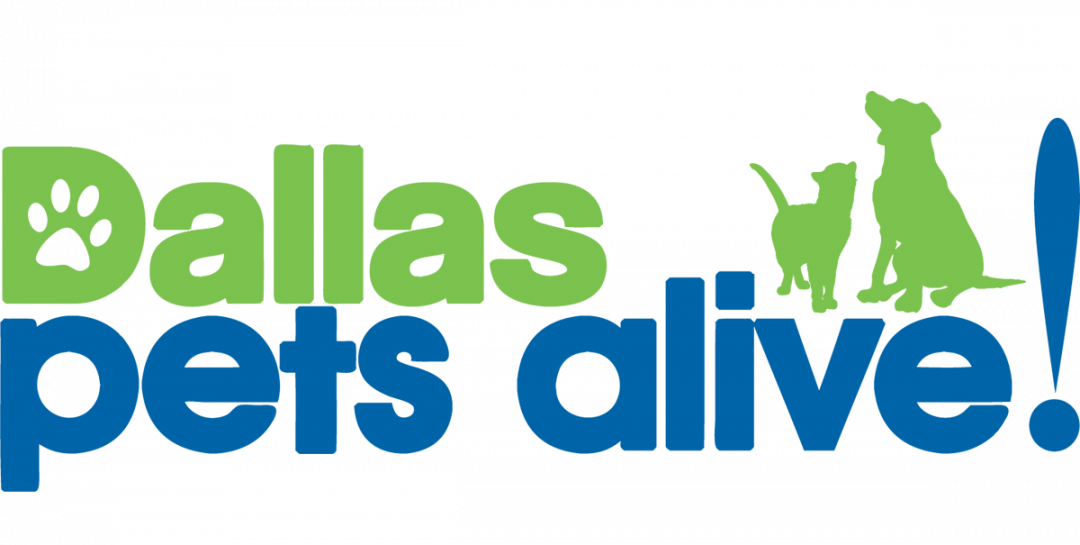 Rehoming Your Pet | Dallas Pets Alive!