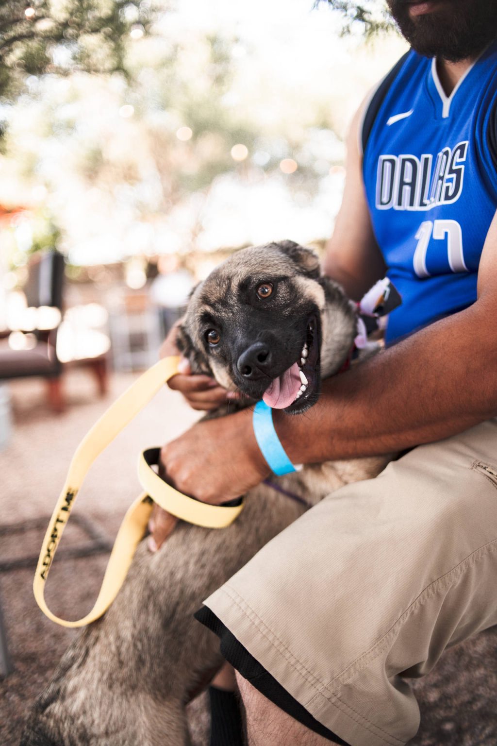 Dallas Pets Alive! | Saving Lives In Dallas