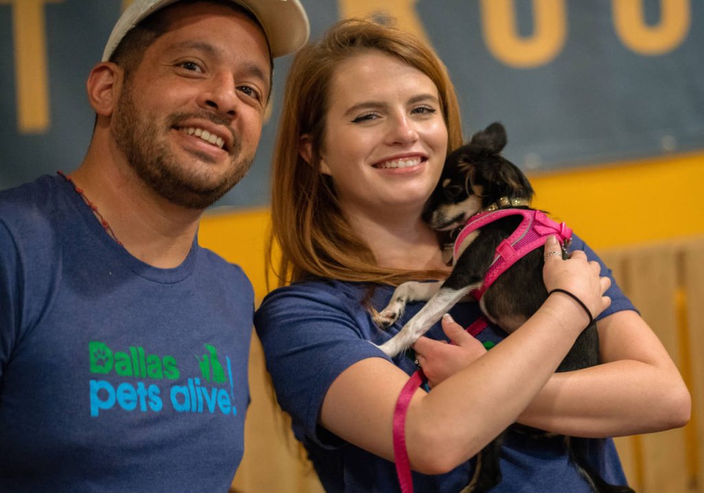 Volunteer With Dallas Pets Alive! Today