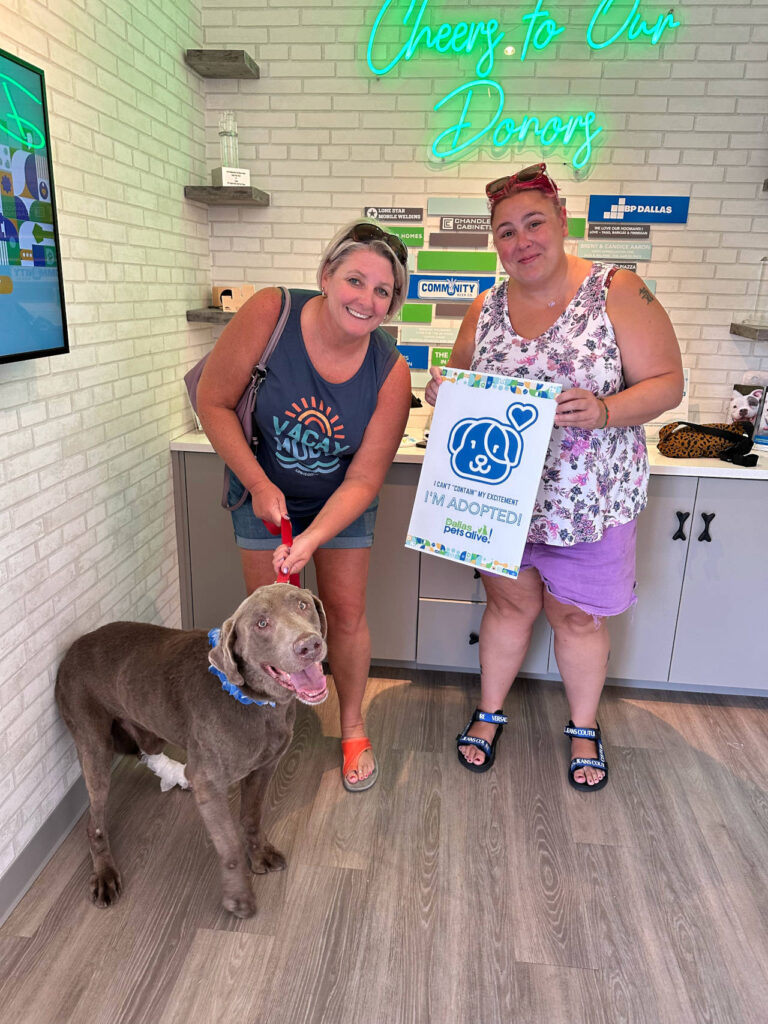 JD | Dallas Pets Alive!