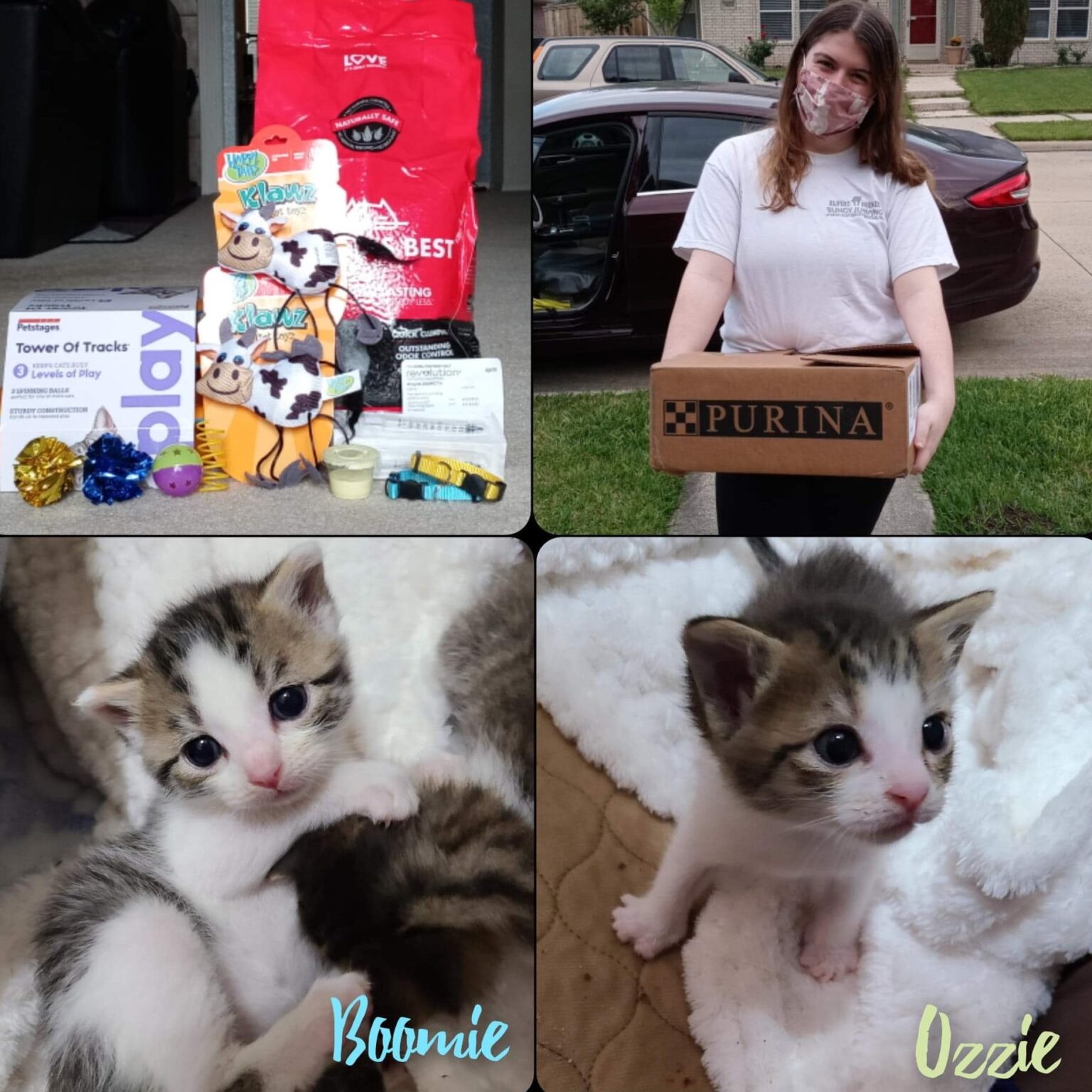 Avoid Pet Surrender: North Texas Animal Rehoming Resources | Dallas ...