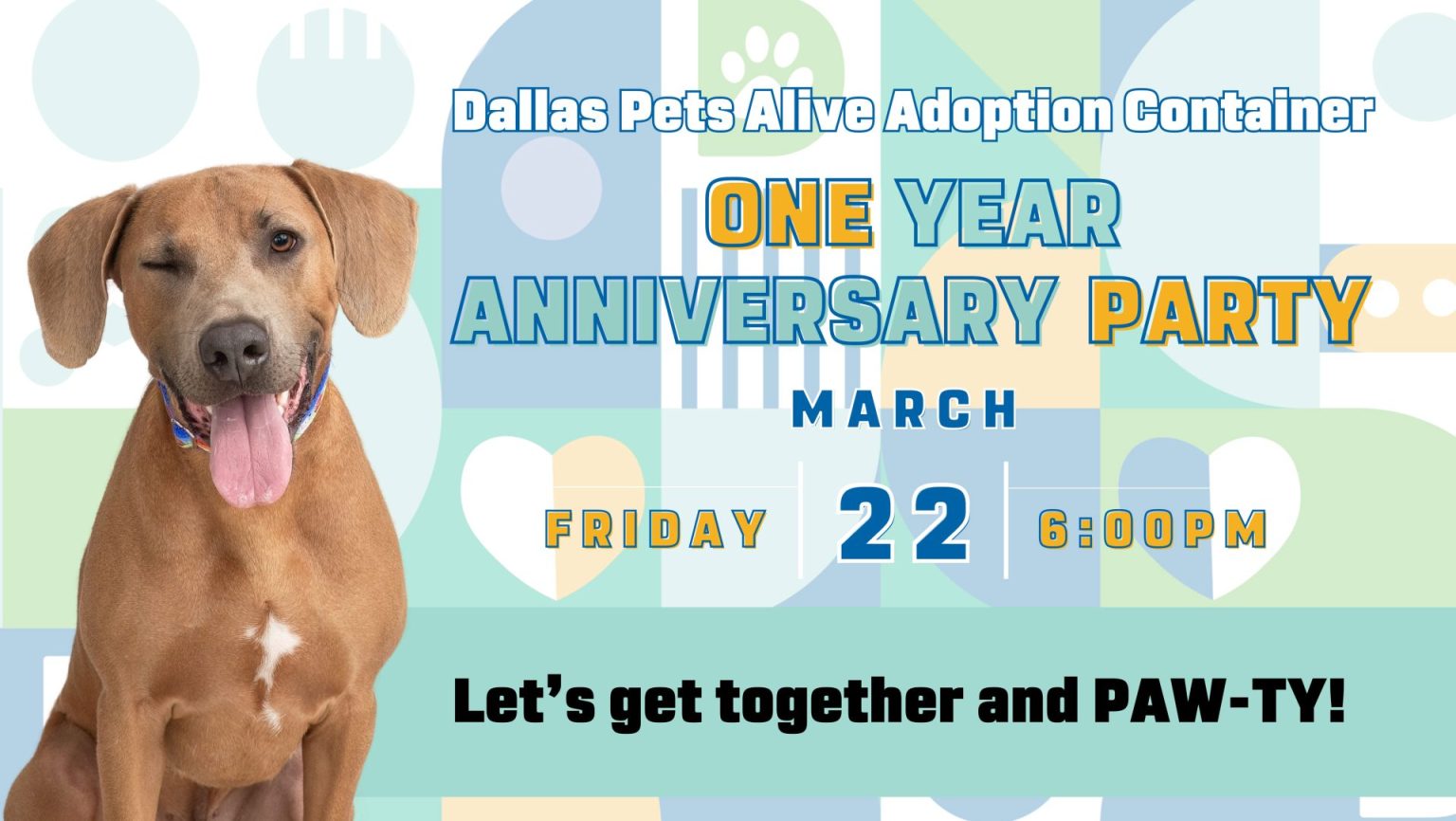 One-Year Anniversary Container Party! | Dallas Pets Alive!