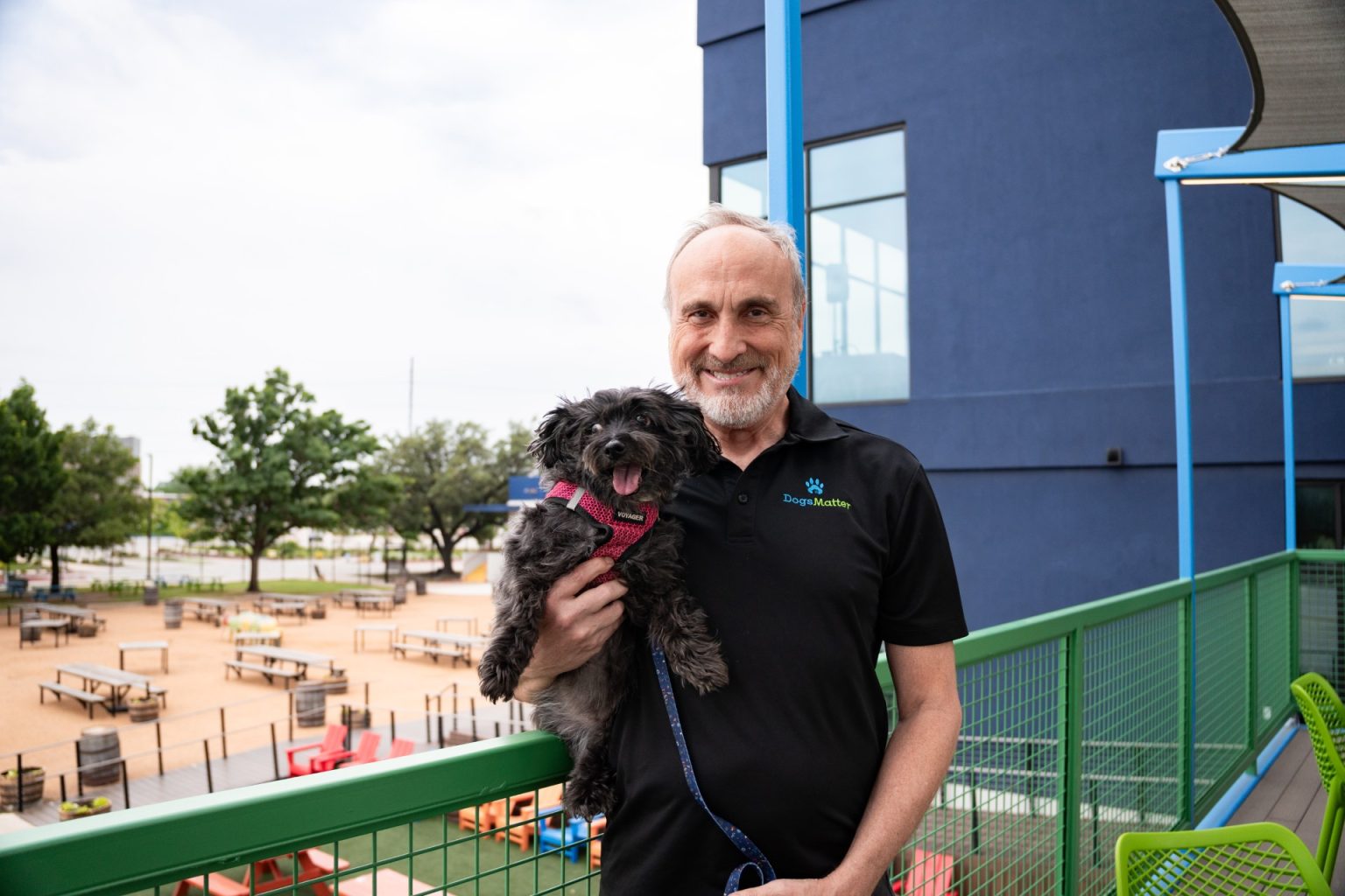 Dallas Pets Alive! | Saving Lives In Dallas