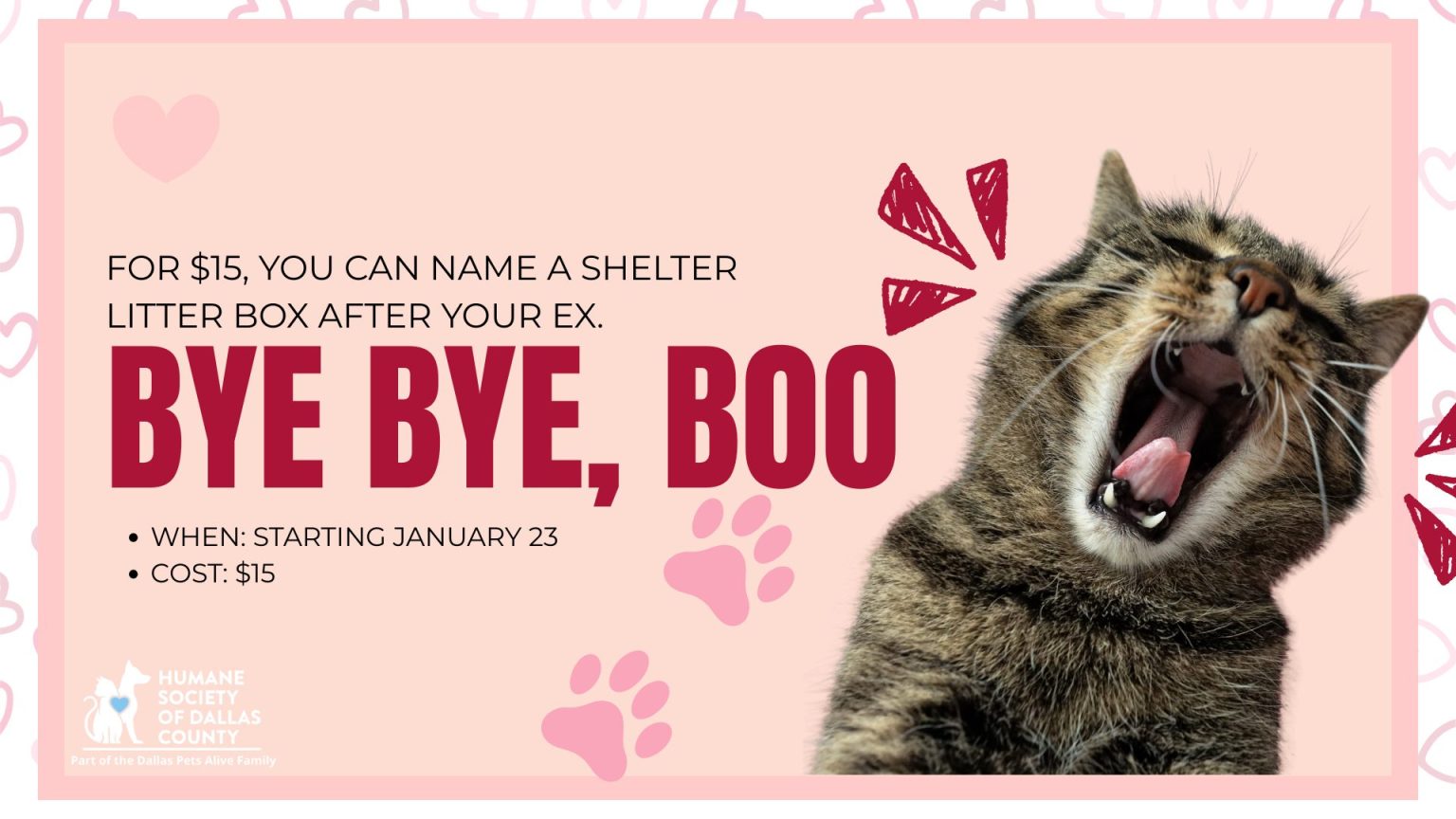 Bye, Bye, Boo: Leave 'Em In The Litter | Dallas Pets Alive!
